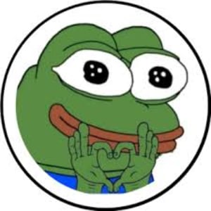 Cerebra | Postman API Network