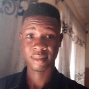 Adegbesan Joshua | Public APIs | Postman API Network