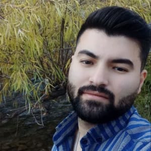 ali mashkani | Public APIs | Postman API Network