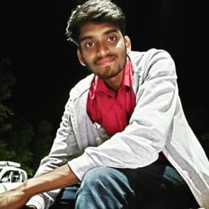 Raj kumar Samakari | Public APIs | Postman API Network