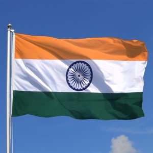 Shivam Kumar | Public APIs | Postman API Network