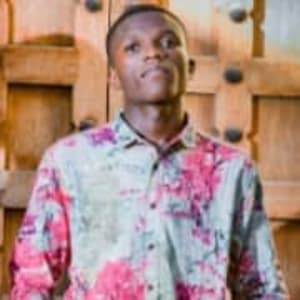 The COVID Tracking Project | VISUALIZING APIS | Postman API Network