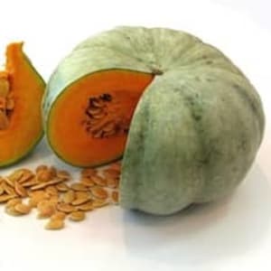 WB workspace | Postman API Network