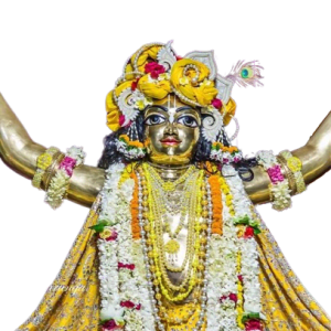 Mocking with Fruits | The Exploratory | Postman API Network