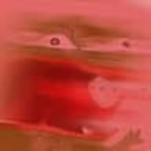 GeMiNi | Public APIs | Postman API Network