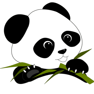 John | Public APIs | Postman API Network