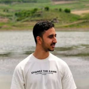 Seyyed Mohammad Hoseini Hesari | Public APIs | Postman API Network