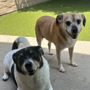 Steve Trimble | Public APIs | Postman API Network