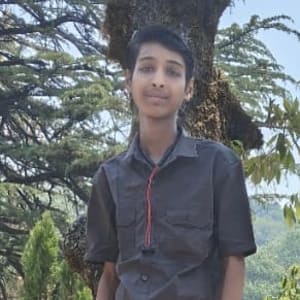 Sarthak Jain | Public APIs | Postman API Network