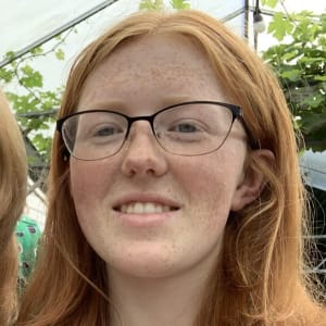 Zalo_AI | Binh Le (Justin)'s Public Workspace | Postman API Network