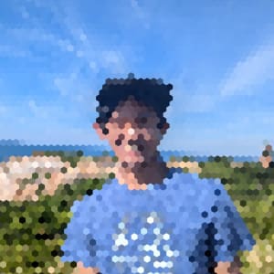 Subham | Public APIs | Postman API Network