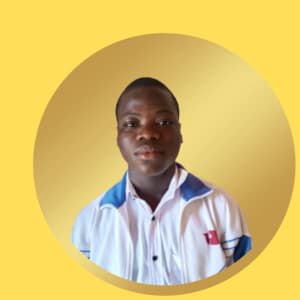 Prince | Public APIs | Postman API Network