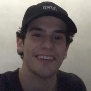 Pedro Miotti | Public APIs | Postman API Network