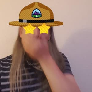 bark 🦅 | Public APIs | Postman API Network