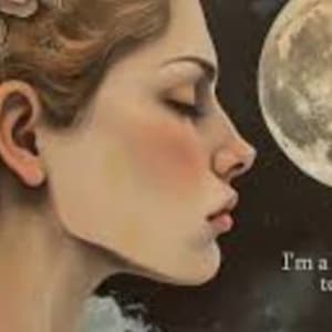 Taylor | Public APIs | Postman API Network