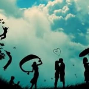 Andrew M. Reed | Public APIs | Postman API Network