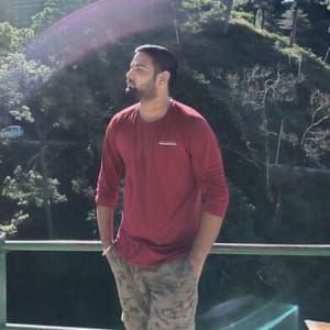 Nishu Jain | Public APIs | Postman API Network