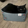Cat Compression Box | Cat Beds | Uncommon Goods