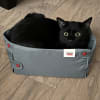 Cat Compression Box | Cat Beds | Uncommon Goods