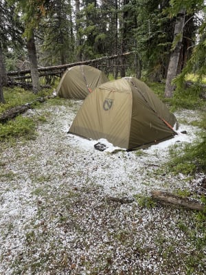 Nemo Tracker Osmo Tent | First Lite Nemo Tracker Osmo Tent | First Lite