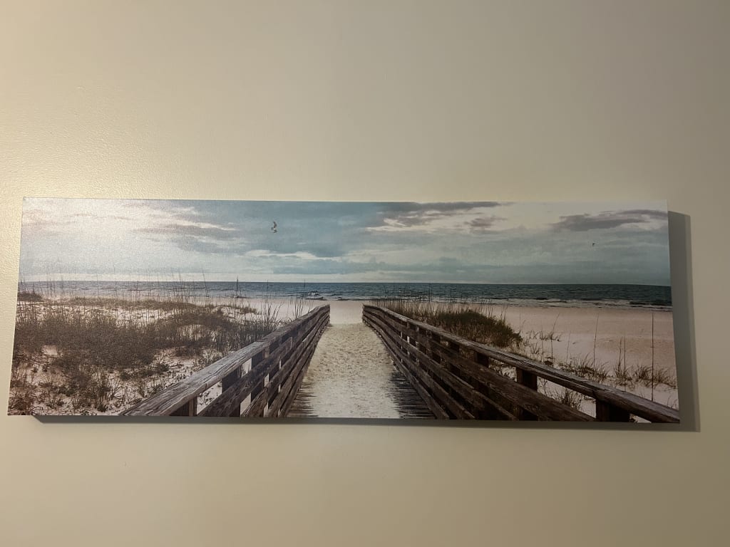 Speckled Willet Canvas Wall Art, 12"