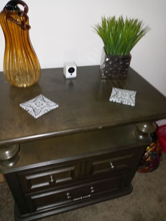 Grass Plant with Silver Wave Planter, 10"