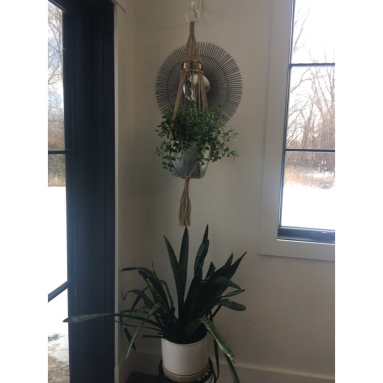 SAFAVIEH Orbit Natural Sunburst 30-inch Decorative Mirror - 21" x 1" x ...