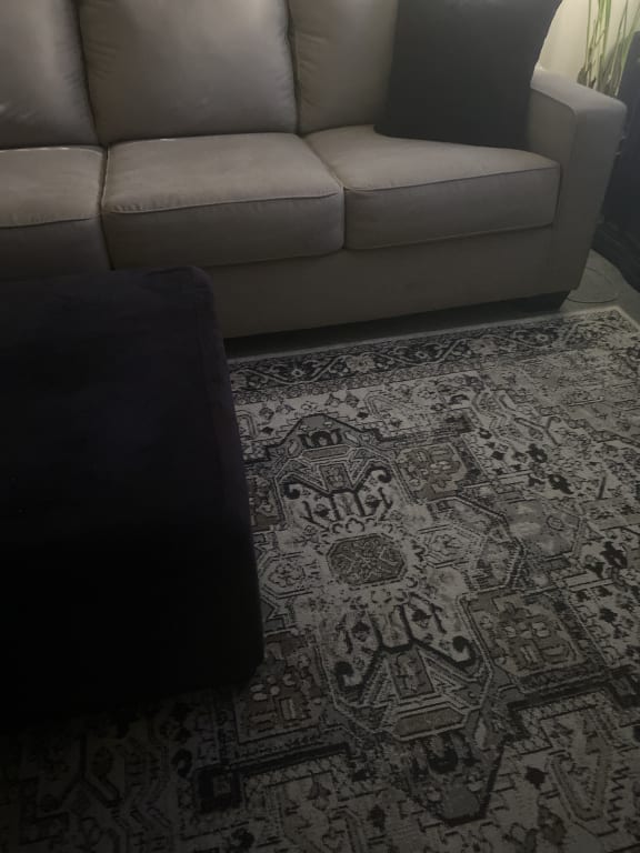 (D600) Lavadora Black & Taupe Medallion Accent Rug, 3x5