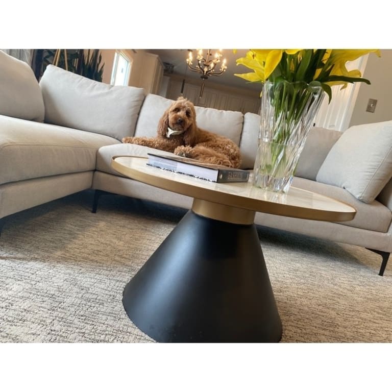 Richard Marble Cocktail Table - Bed Bath & Beyond - 25601190