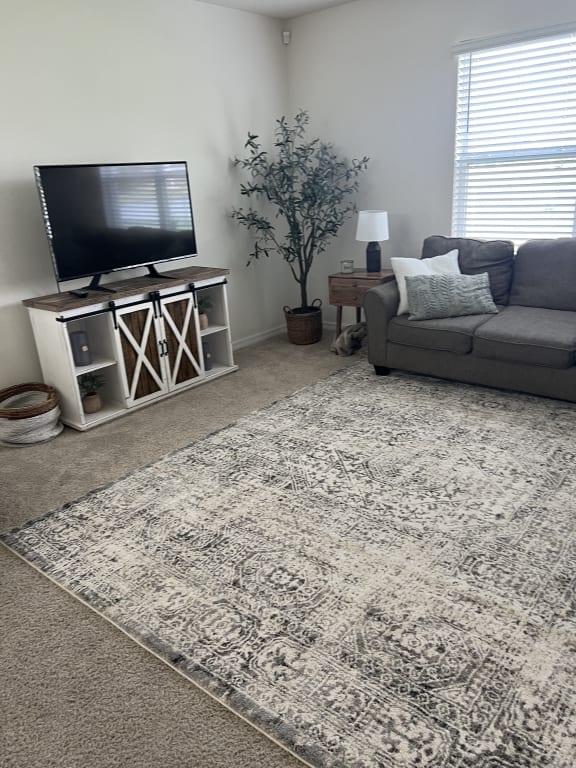 Firenze Neutral Traditional Area Rug 5x7 | At Home