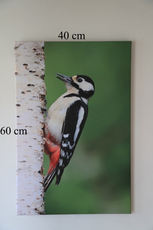 Personalised Canvas Prints & Photo Canvas | VistaPrint UK