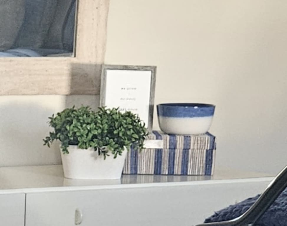 Boxwood Plant with White Rectangular Planter, 10"