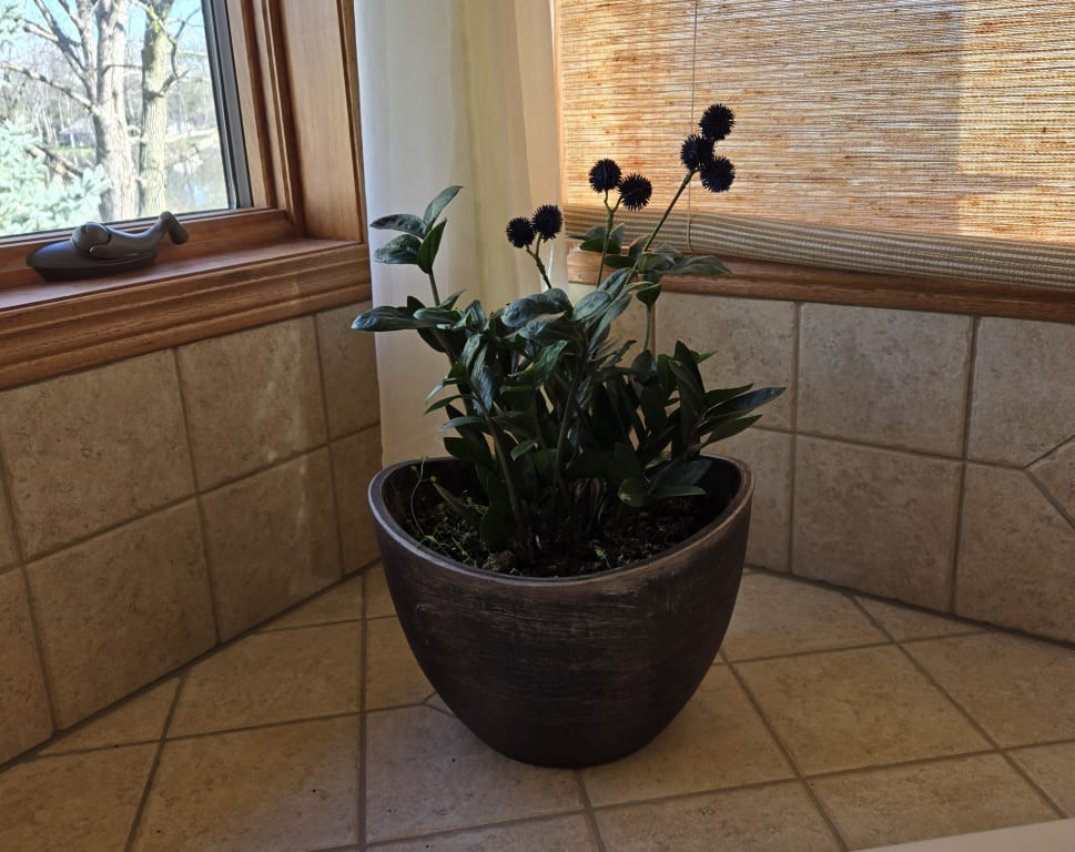 Bronze Wave Angled Outdoor Planter, Small | At Home