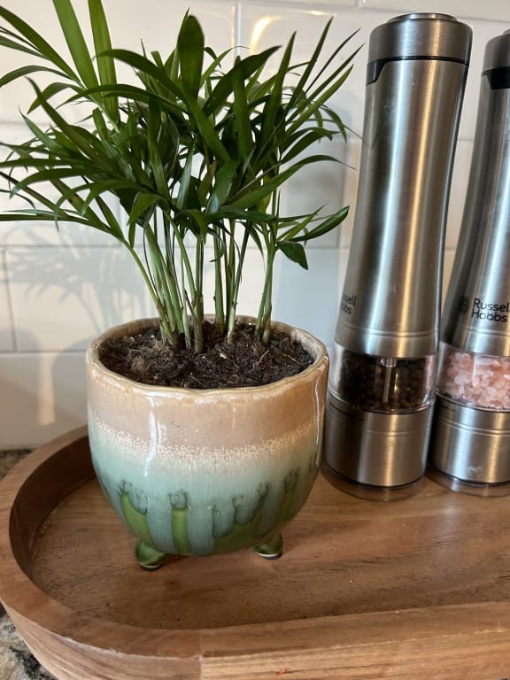 Honeybloom Indoor Green Ombre Footed Ceramic Pot, Extra Small