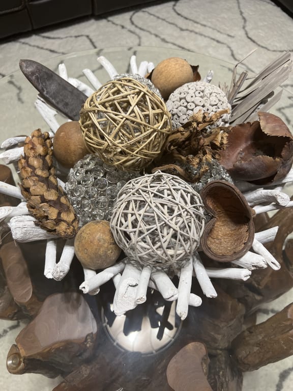 Brown Dried Orbs & Succulent Mix