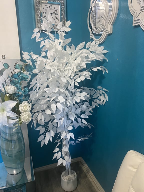 Potted White Fiscus Tree, 6'