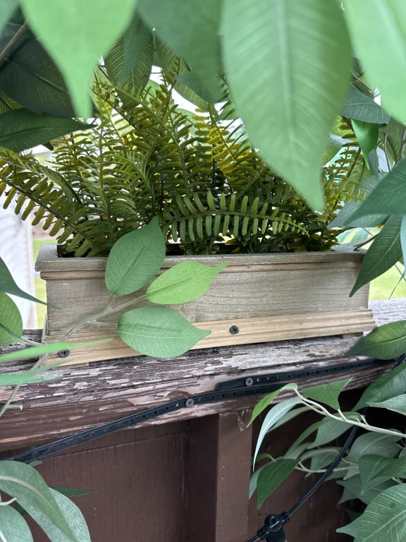 Fern Arrangement in Wood Planter, 11"