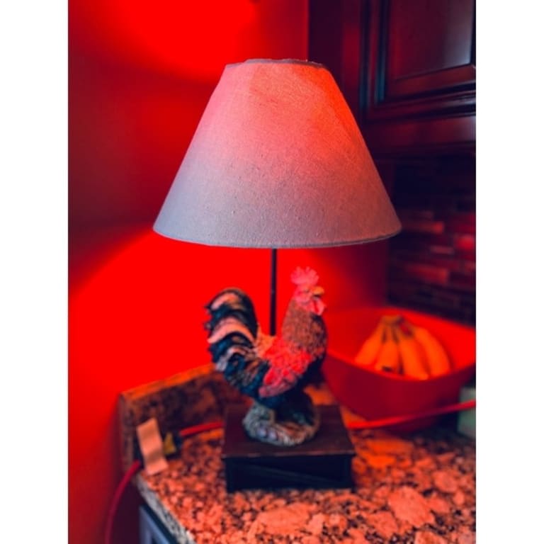 Glitzhome Polyresin Farmhouse Truck or Rooster Table Lamp - Bed Bath ...