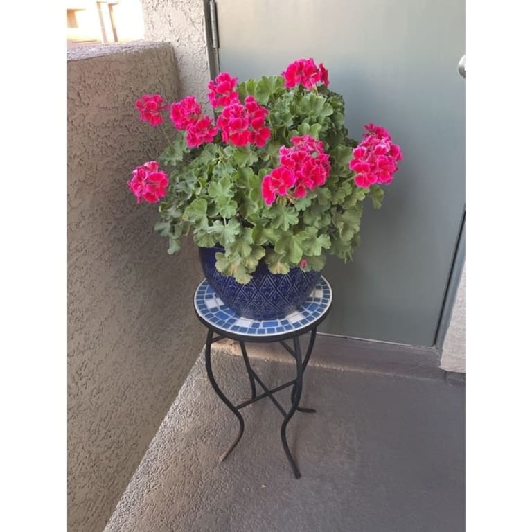 Han Outdoor Round Ceramic Tile Side Table with Iron Frame by ...