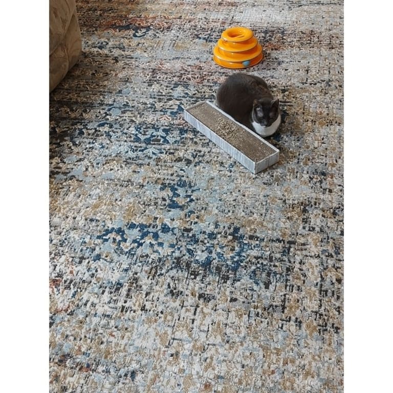 Alexander Home Charlotte Modern Distressed Area Rug - On Sale - Bed ...