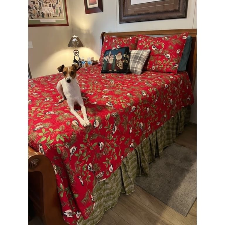 Christmas Chickadee Red Quilt Set - On Sale - Bed Bath & Beyond - 32809342