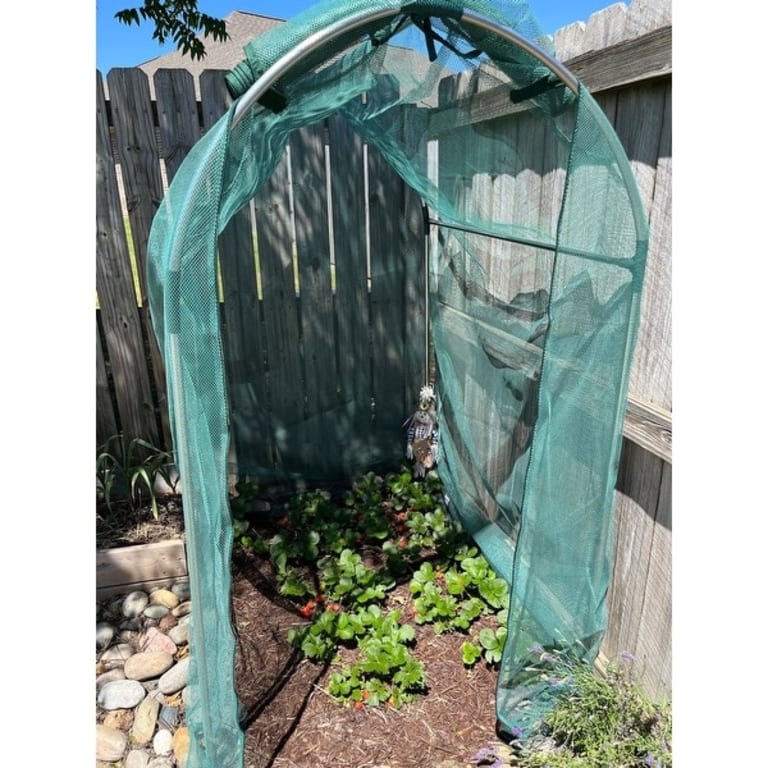 Outsunny 4' x 4' Crop Cage, Plant Protection Tent with Zippered Door ...