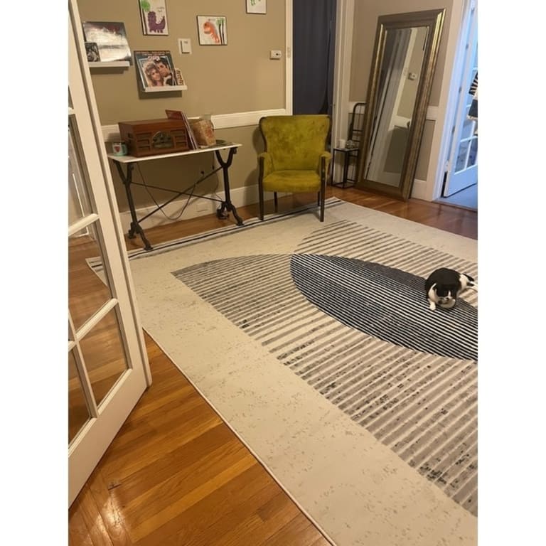 Brooklyn Rug Co Dara Contemporary Geometric Area Rug - On Sale - Bed ...