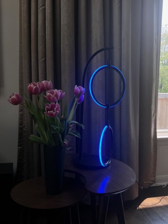 Brightech Nova Smart RGB LED Arc Table Lamp - Black - Bed Bath & Beyond ...