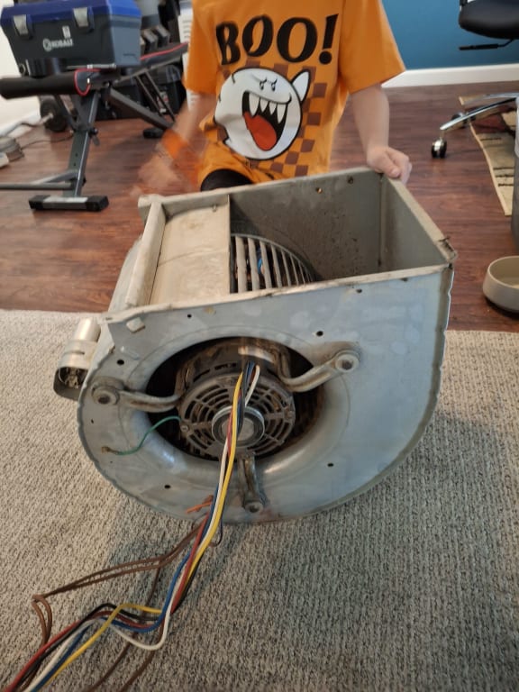 MARS 10587 5.5" Direct Drive Furnace Blower Motor - SupplyHouse.com
