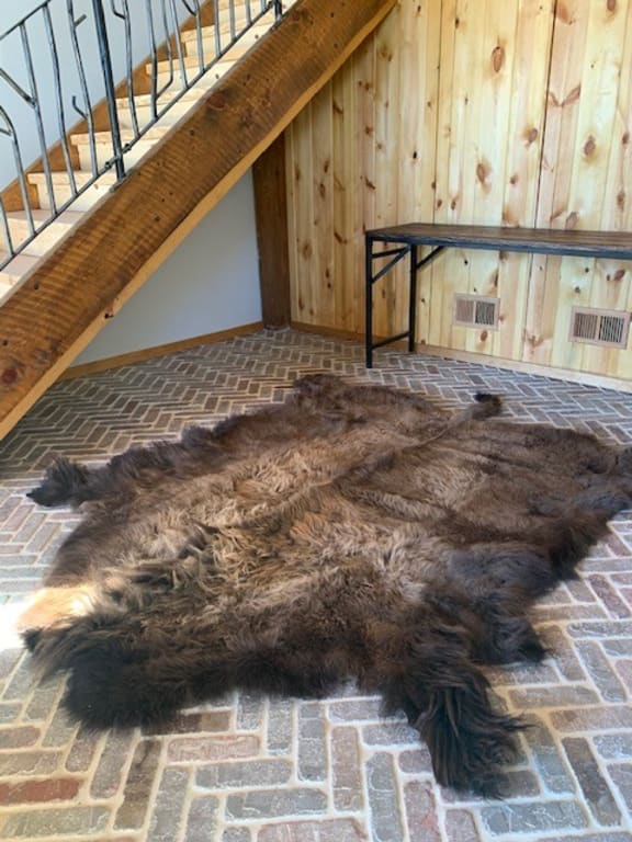 Buffalo Hide Area Rug | Overland