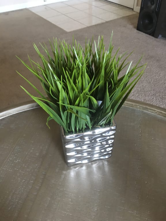 Grass Plant with Silver Wave Planter, 10"