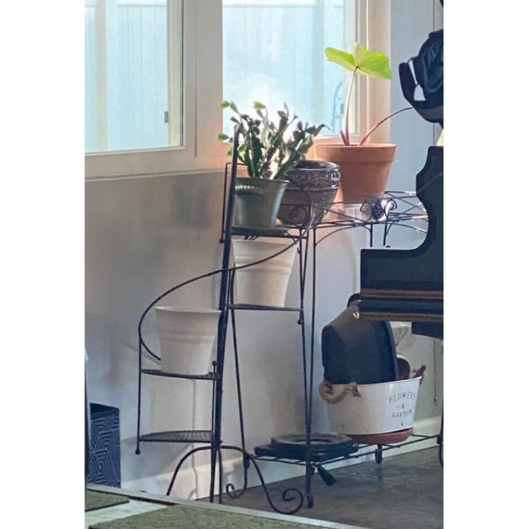 Black Helix Plant Stand - Bed Bath & Beyond - 26951698