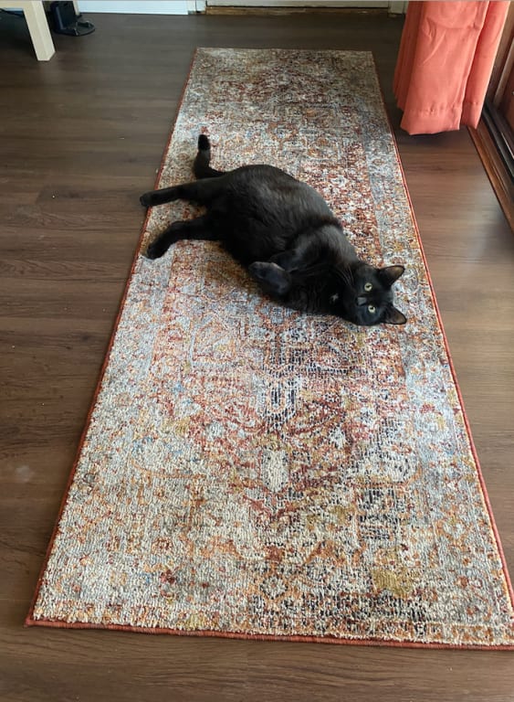 (A447) Capstone Rust Traditional Design Area Rug, 5x7