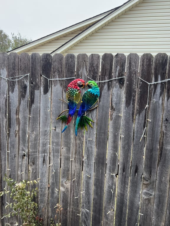 Metal Parrot Outdoor Garden Statue, 12" | At Home